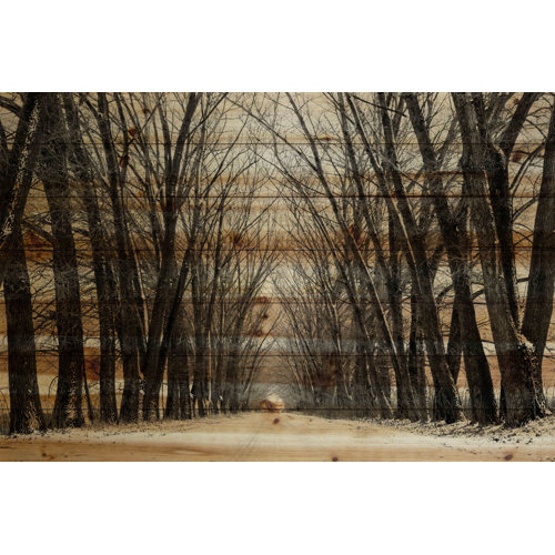 Wrought Studio Tree Path On Wood by Parvez Taj Print & Reviews | Wayfair
