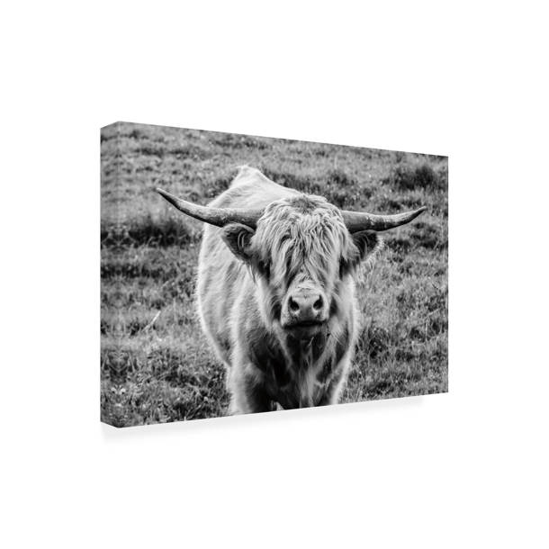 Foundry Select Mountain Wall Decal | Wayfair