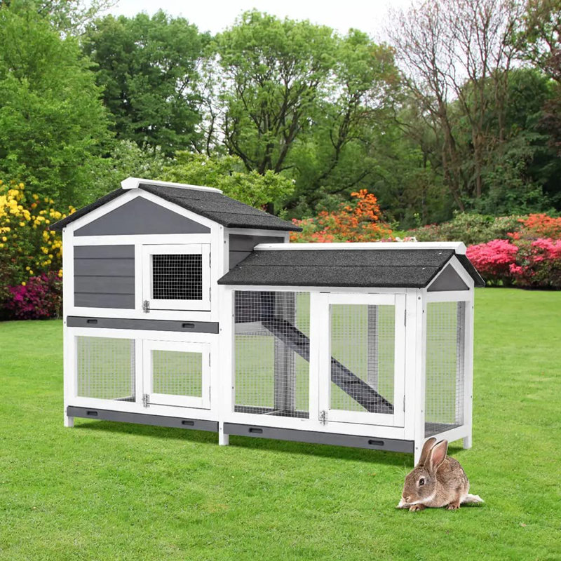 Tucker Murphy Pet™ Eichhorn Weather Resistant Rabbit Portable Hutch ...