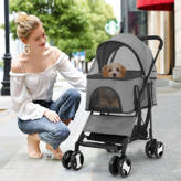 BingoPaw Folding Standard Stroller with Detachable Carrier | Wayfair