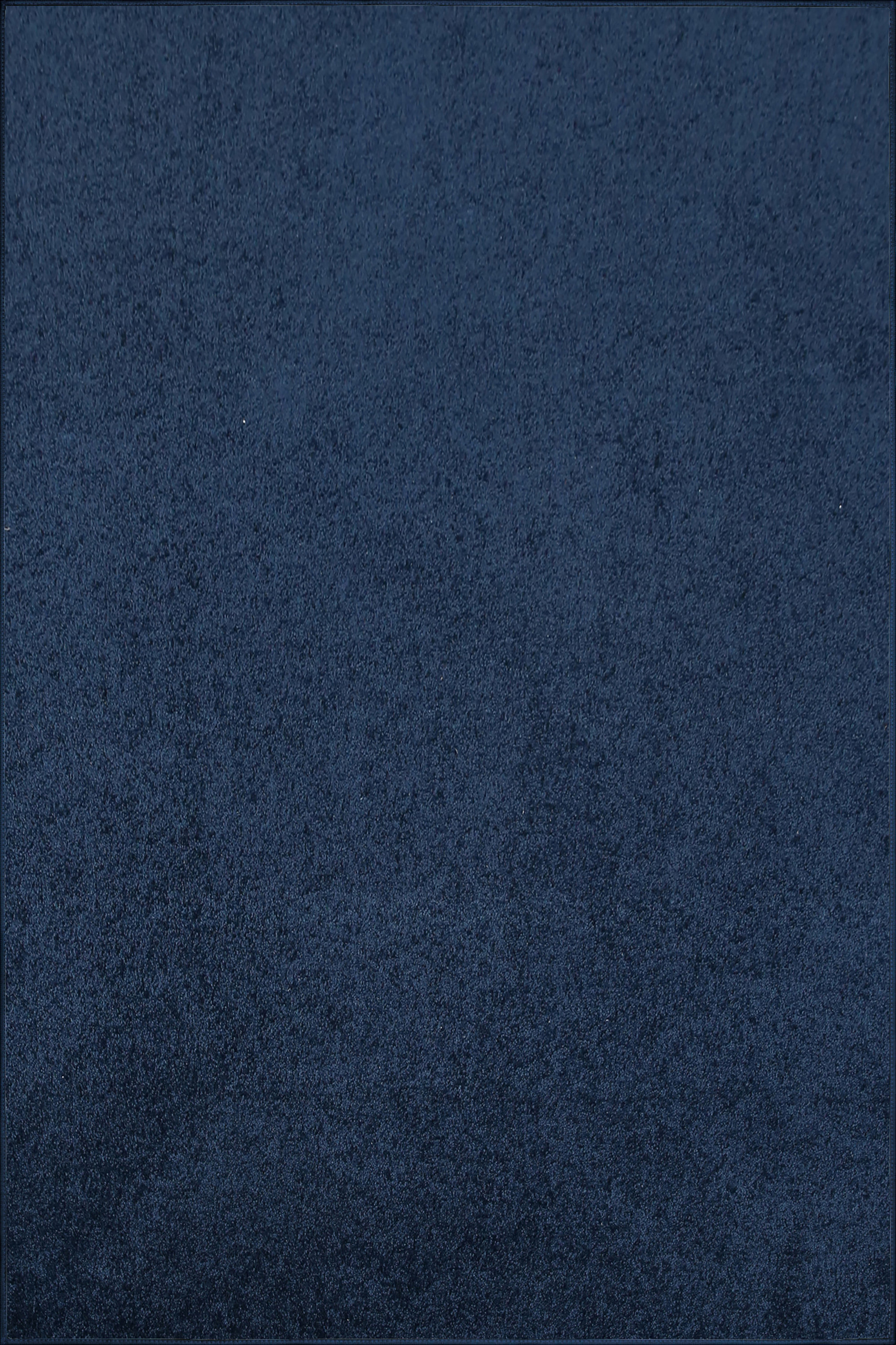 Latitude Run® Navy Performance Navy Rug | Wayfair