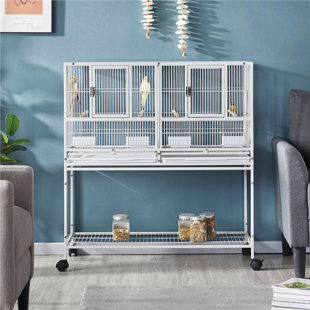 Wayfair | Large Bird Cages