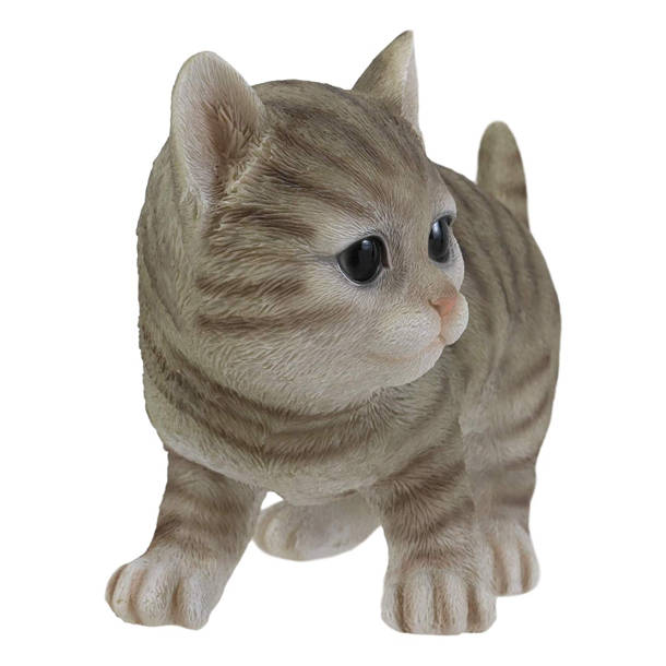 Hi-Line Gift Ltd. Standing American Shorthair Cat Statue & Reviews ...
