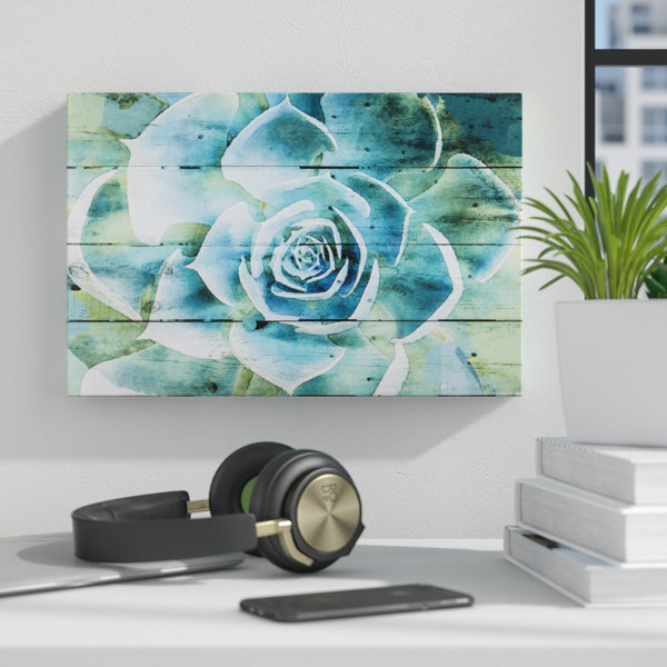 Ebern Designs Succulent Extravaganza - Graphic Art on Canvas & Reviews ...