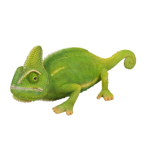 Hi-Line Gift Ltd. Chameleon Statue & Reviews | Wayfair