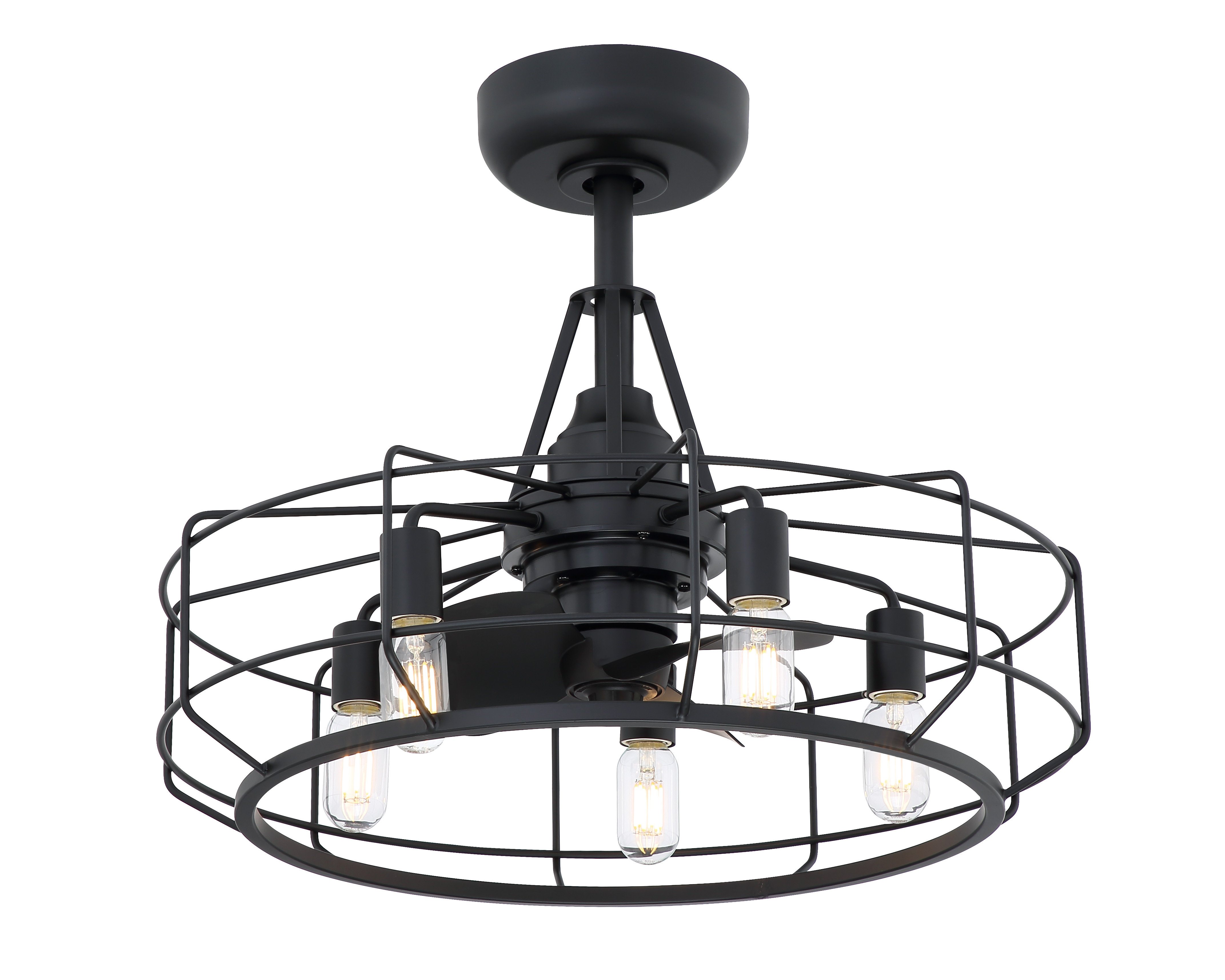 Williston Forge Dilbert 12'' Ceiling Fan with LED Lights | Wayfair
