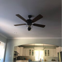 Red Barrel Studio® Baldy 52'' Ceiling Fan with Light Kit & Reviews ...