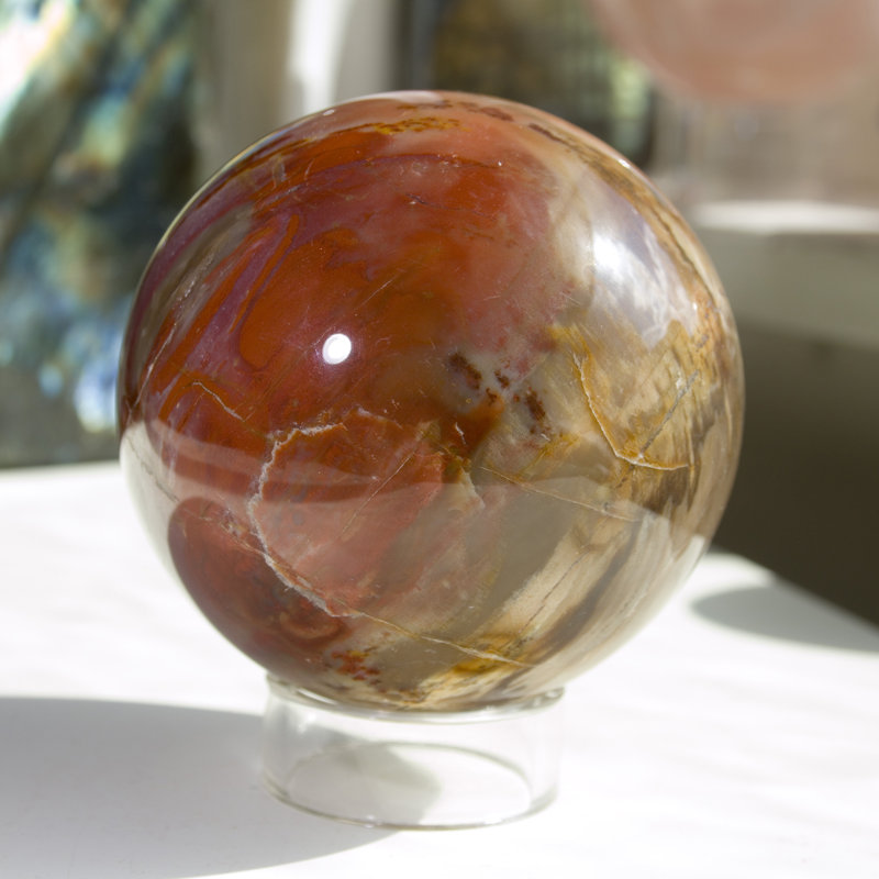 Dakota Fields Arhaam Large Petrified Sphere | Wayfair