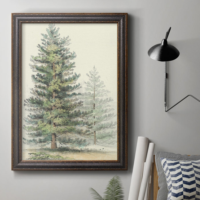 Millwood Pines Majestic Pine I Framed On Canvas Print | Wayfair