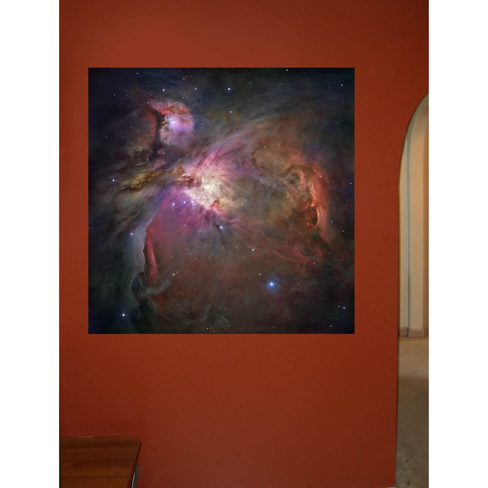 Wallhogs Orion Nebulae Wall Decal | Wayfair