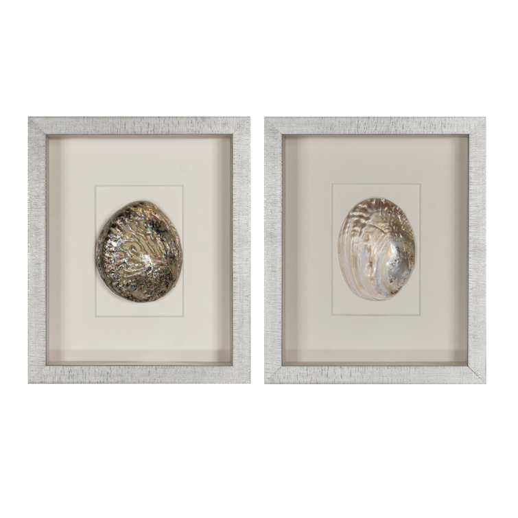 Rosecliff Heights 2 Piece Abalone & Pearl Shell Shadow Box Wall Décor ...