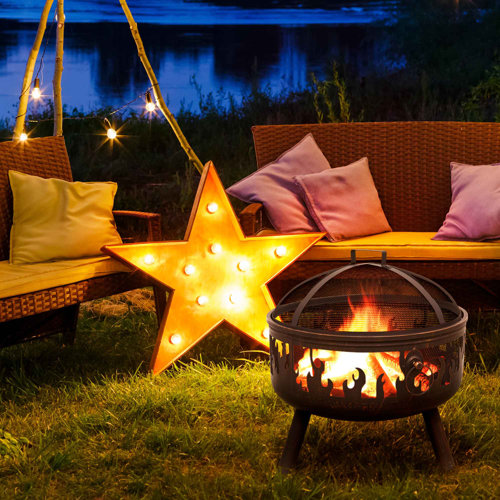 Rosalind Wheeler Chanaya 65Cm H x 61Cm W Steel Wood Burning Outdoor ...