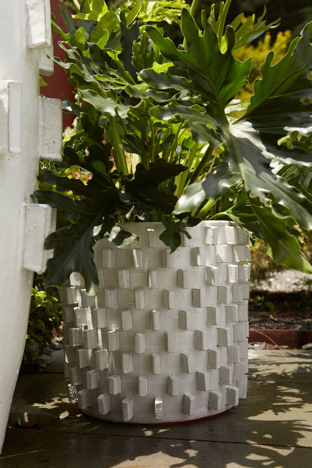 Dakota Fields Buena Ceramic Pot Planter | Wayfair