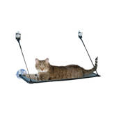Tucker Murphy Pet™ Anja Cat Perch & Reviews | Wayfair