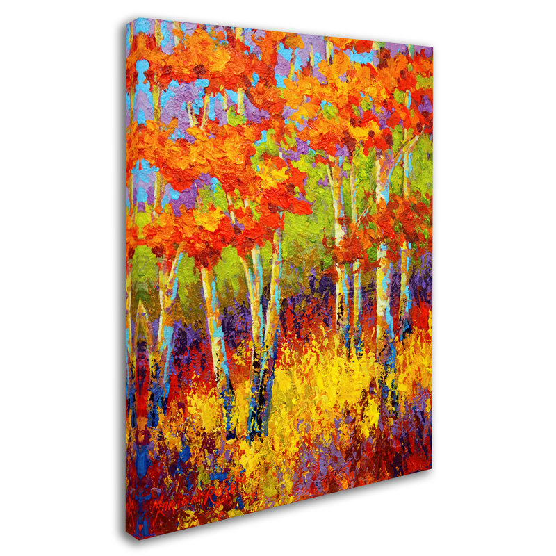 Trademark Art Marion Rose Evening Glow On Canvas by Marion Rose ...