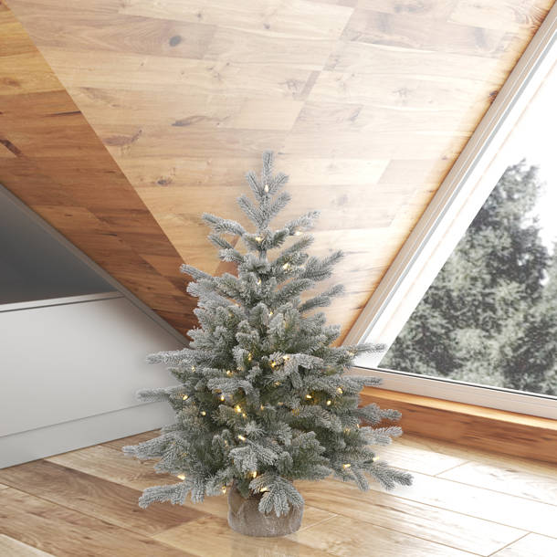 The Holiday Aisle® Frosted Sable 4' Lighted Artificial Pine Christmas ...