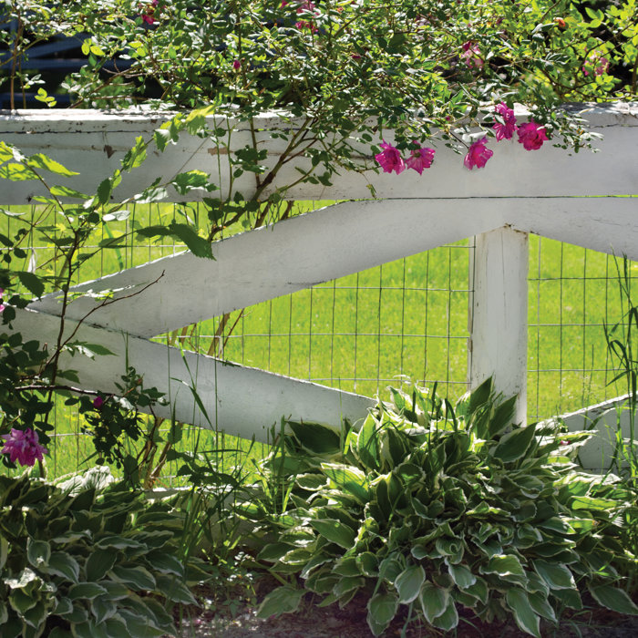 YARDGARD 30'' H x 120'' W Silver Metal Fencing & Reviews | Wayfair