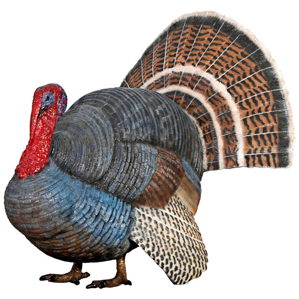 Design Toscano Wild Tom Turkey Grand Scale Animal Statue | Wayfair