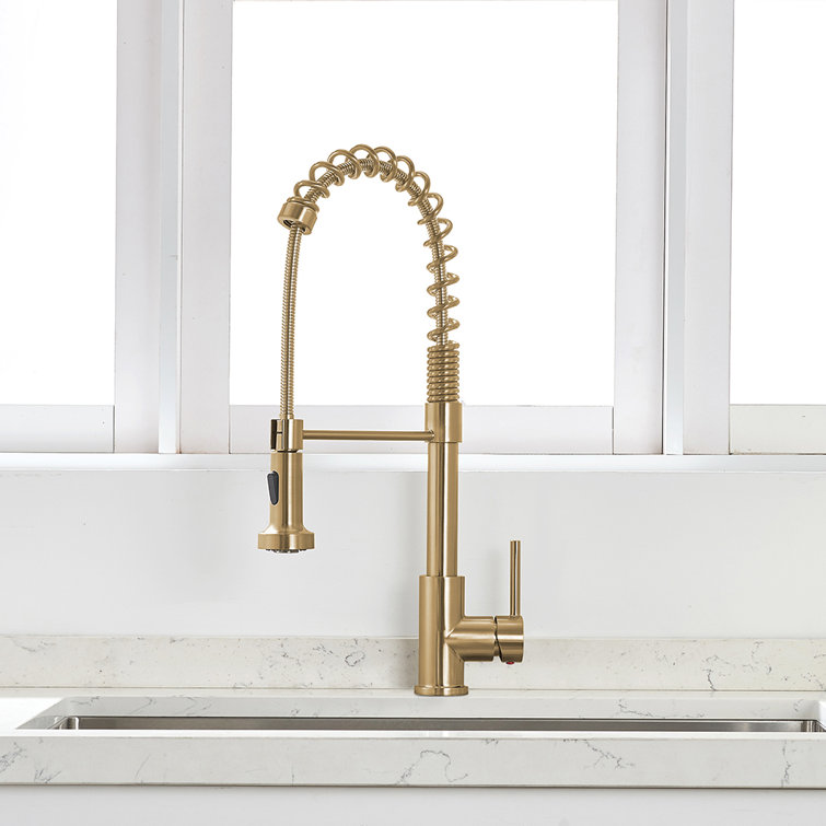 VAPSINT Pull Down Kitchen Faucet | Wayfair