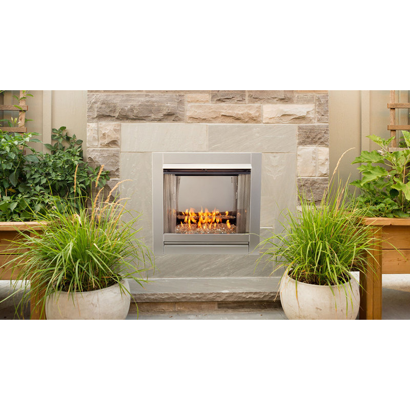 Everly Quinn Stainless Steel Propane/Natural Gas Outdoor Fireplace ...