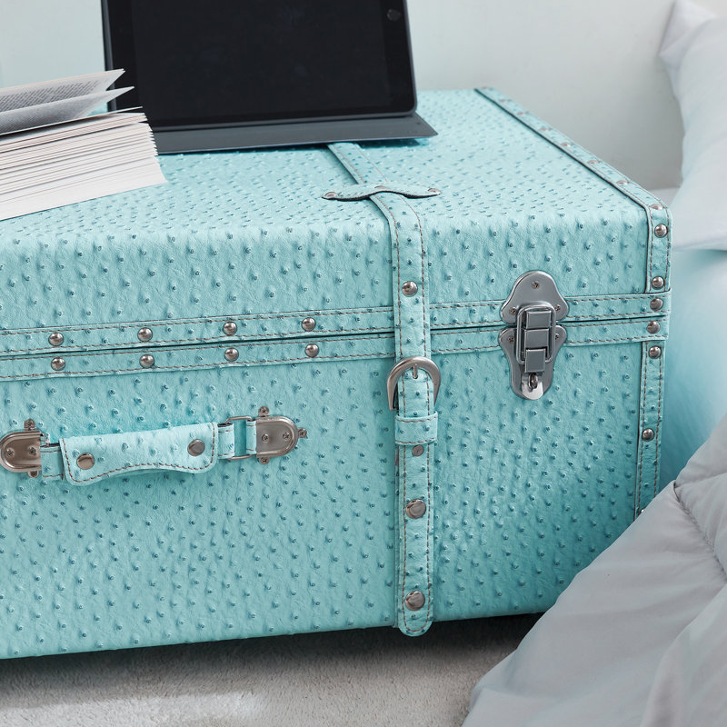 Furniture Trunk With Handles DormCo Texture Trunk - Large Storage ...