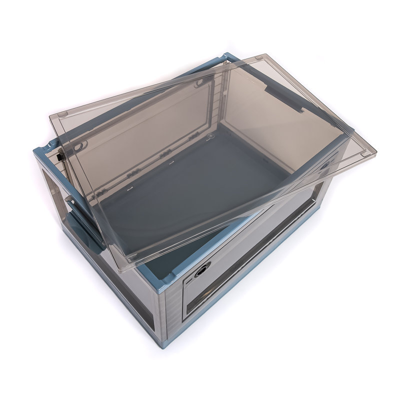 The Twillery Co.® Plastic Box Set & Reviews | Wayfair