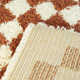 Walker Checkered Burnt Orange/Cream Shag Area Rug & Reviews | AllModern