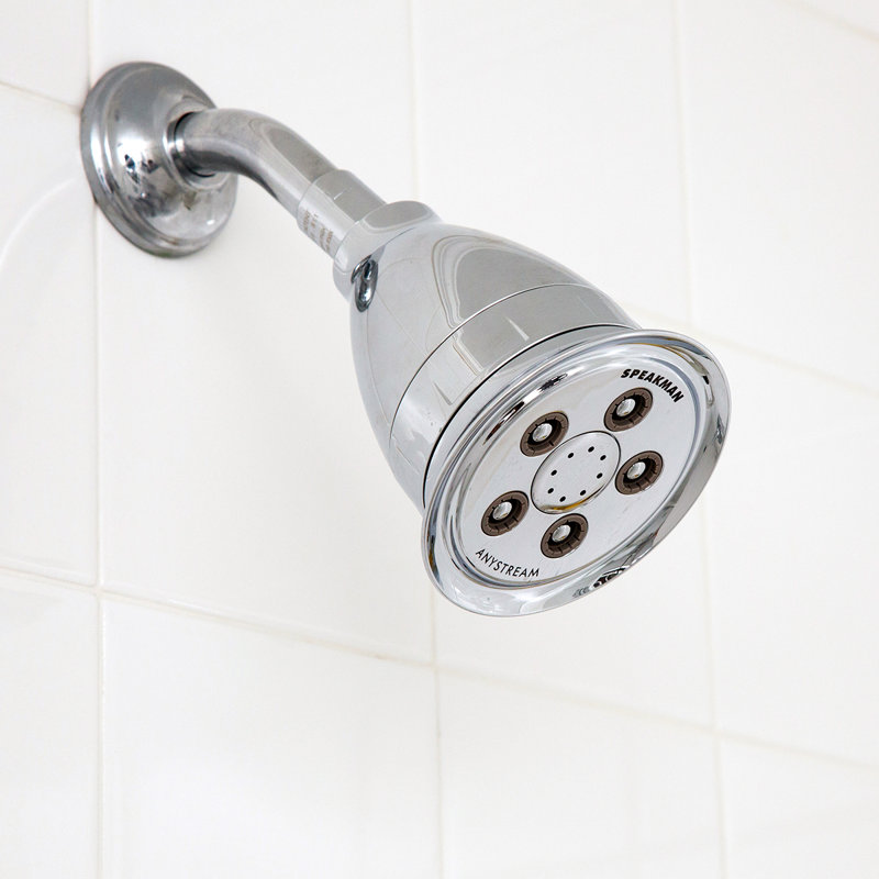 Speakman Anystream Pure 2.0 GPM Multi-Function Adjustable Shower Head ...