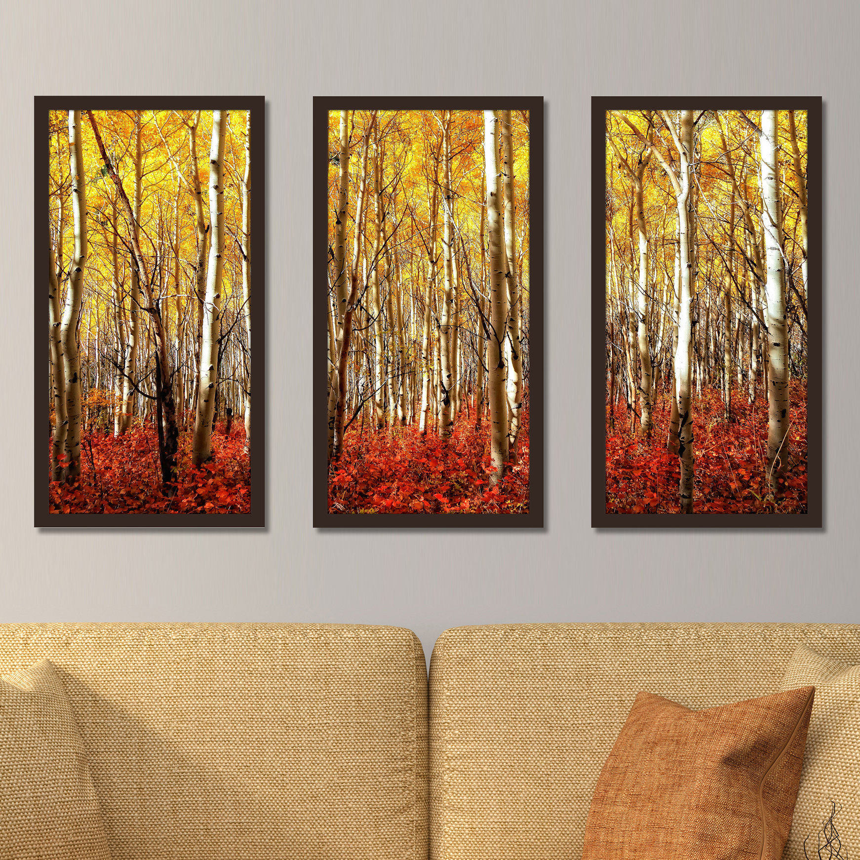 Millwood Pines Birch Trees - 3 Piece Picture Frame Photograph & Reviews ...