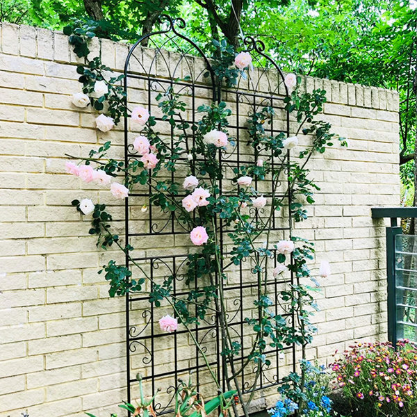 Red Barrel Studio® Garden Trellis Metal Trellis Metal Garden Trellis 86 ...