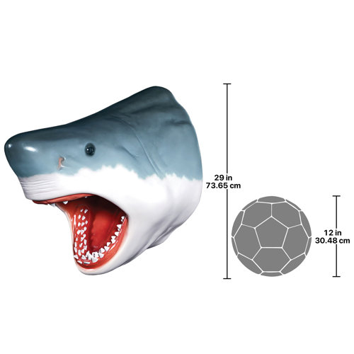 Design Toscano The Great Shark Trophy Wall Décor | Wayfair