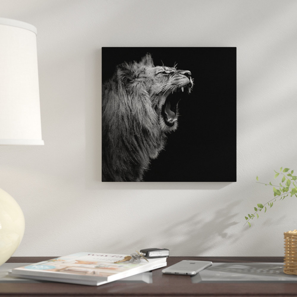 East Urban Home Lion I by Lukas Holas - Photograph & Reviews | Wayfair