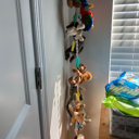 Dreambaby Toy Chain & Reviews | Wayfair