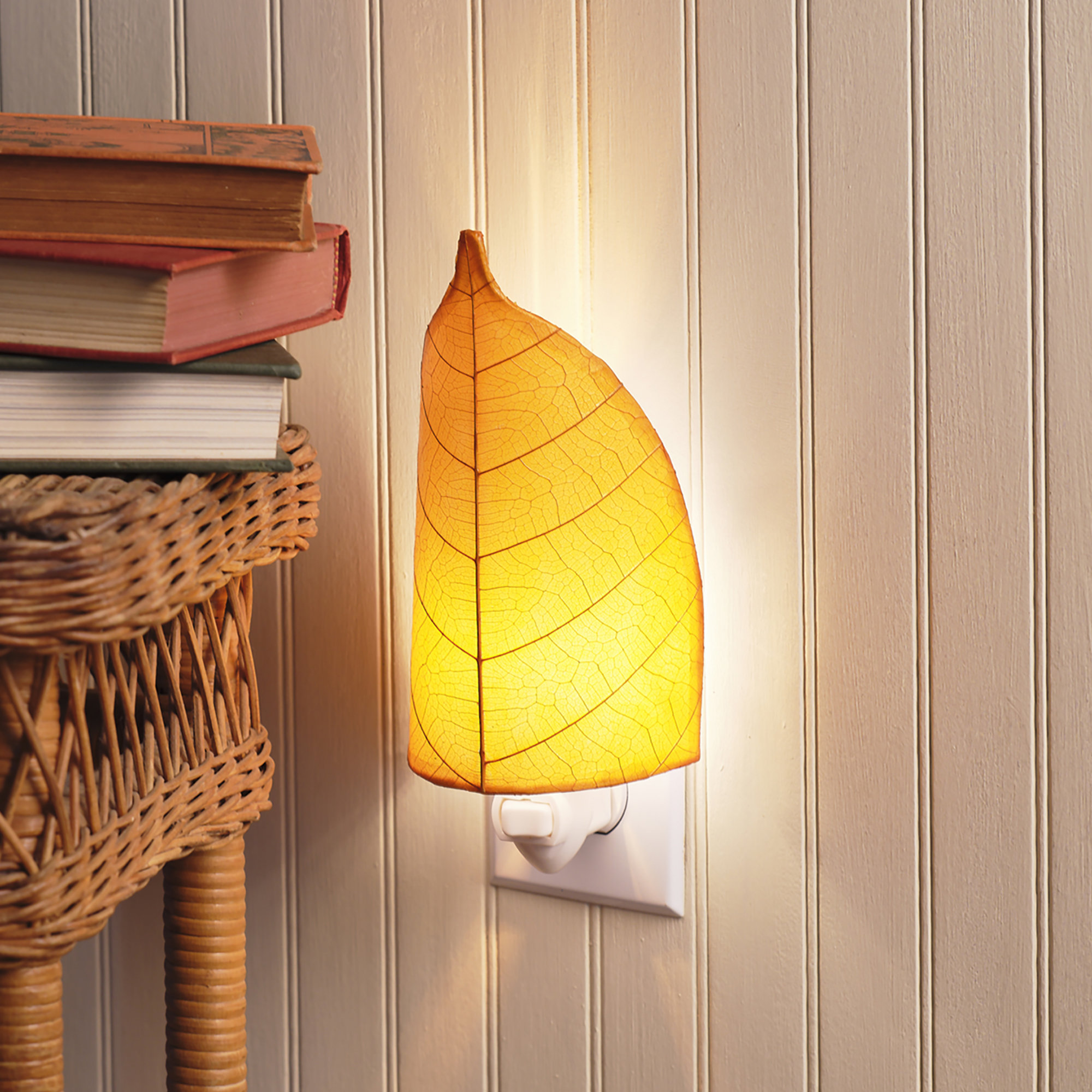 Eangee Home Design Leaf Night Light & Reviews | Wayfair