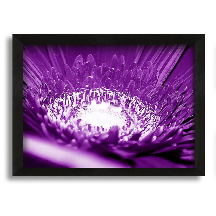 Rosalind Wheeler Daisy Centre Purple Framed Print - Picture Frame ...