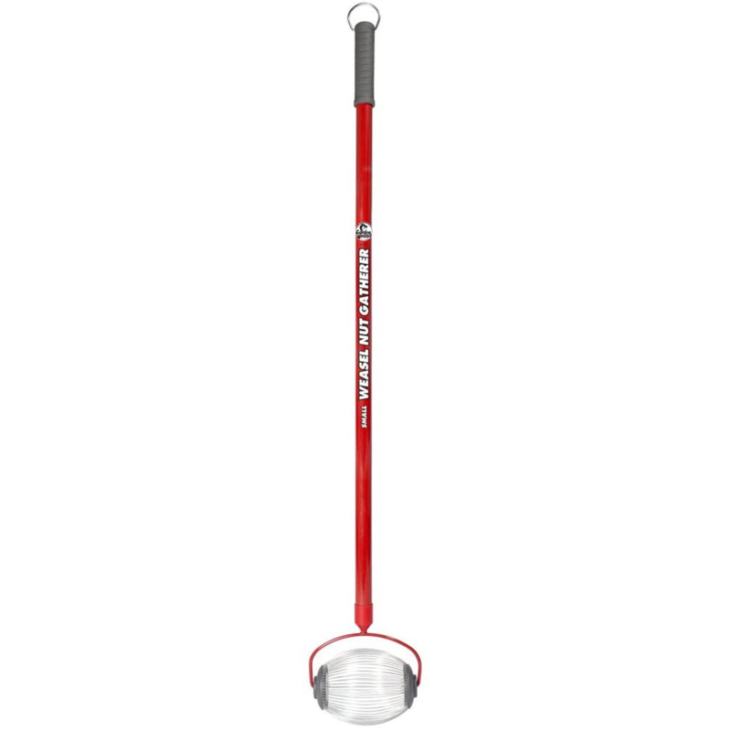 Garden Weasel 95334 Nut Gatherer Tool For Small Objects And Nuts, Small ...