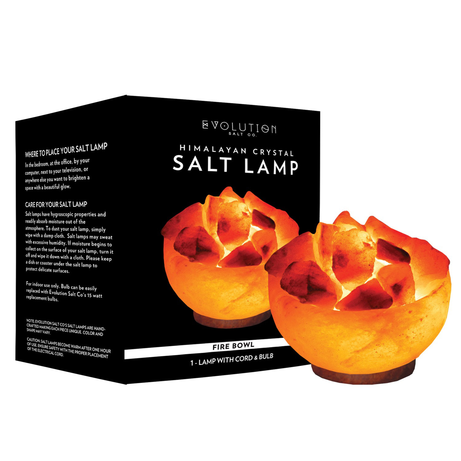 Evolution Salt Co Fire Bowl Himalayan Salt Lamp | Wayfair
