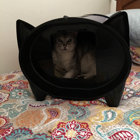 KatKabin Outdoor Cat House & Reviews | Wayfair