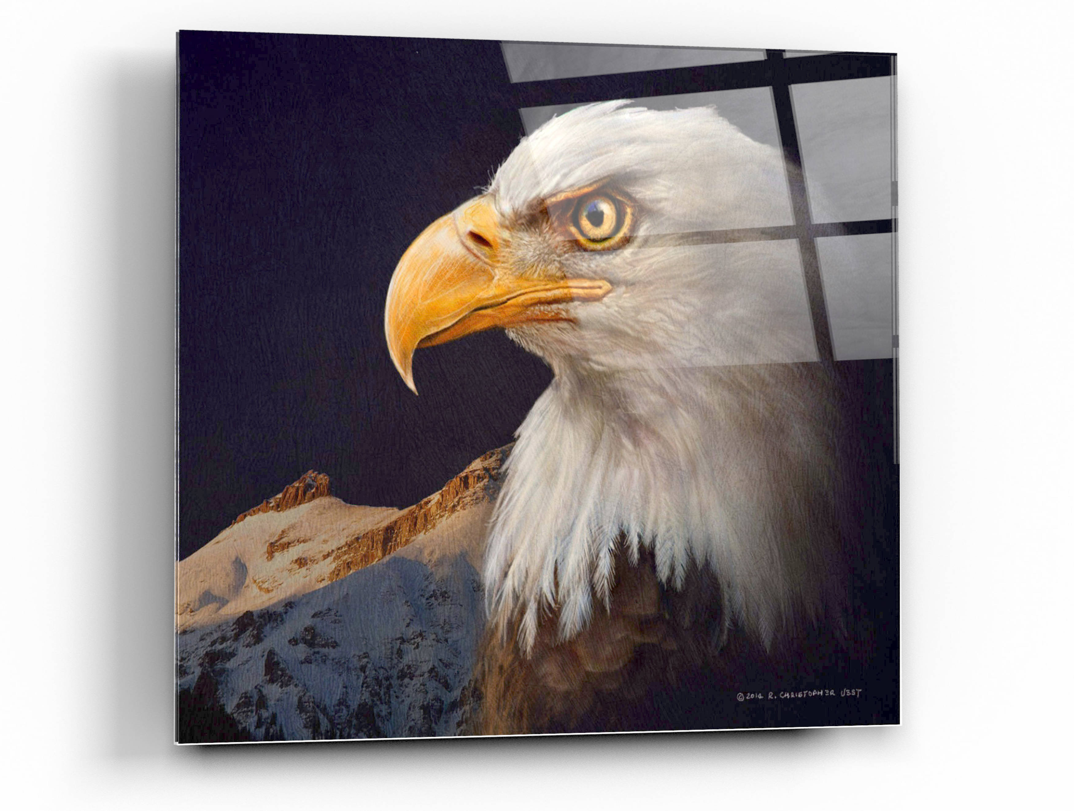 Millwood Pines Bald Eagle Study Bald Eagle Study by - on | Wayfair