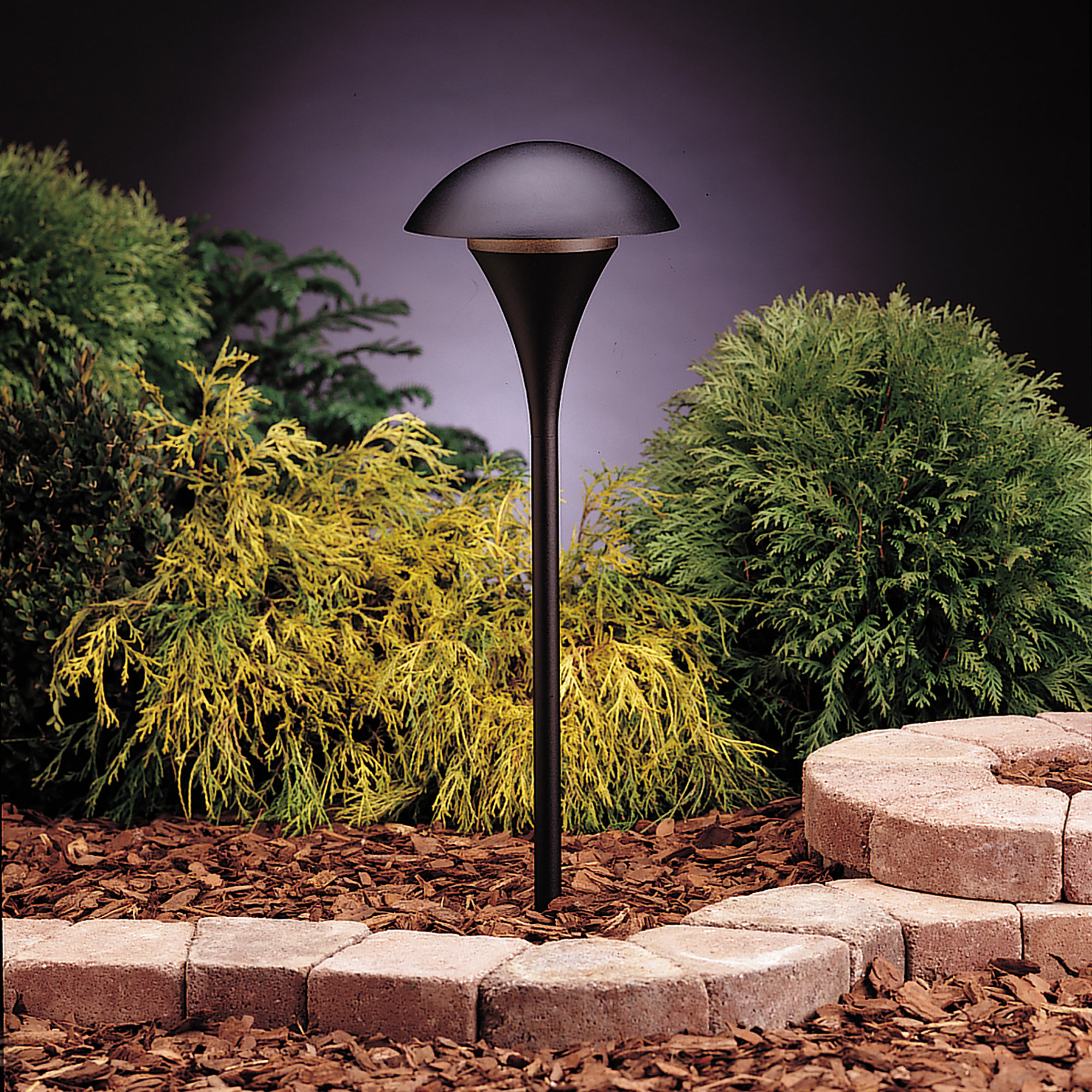 Arlmont Co Chikaima 1 Light Pathway Light Reviews Wayfair
