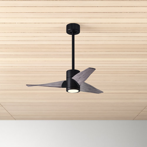 Modern Small Room Ceiling Fans | AllModern