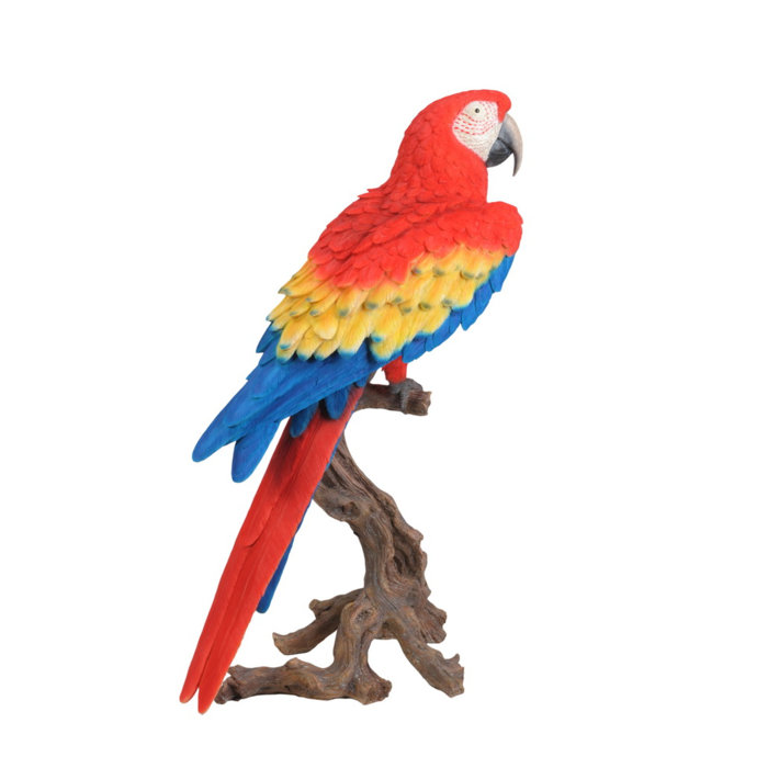 Hi-Line Gift Ltd. Macaw Statue & Reviews | Wayfair