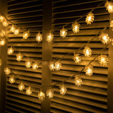 Wayfair | Novelty String Lights You'll Love in 2023
