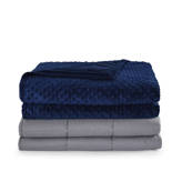 Eastern Accents Ezra Comforter & Reviews | Wayfair