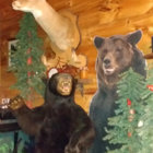 Advanced Graphics Brown Bear Cardboard Stand-Up & Reviews | Wayfair