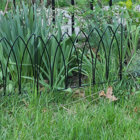 thealyn Decorative Metal Garden Fence 18" x 18" & Reviews | Wayfair