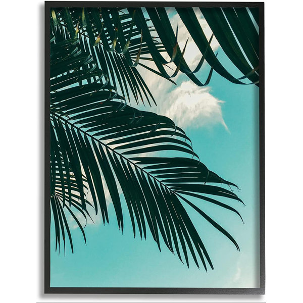 Bayou Breeze Bright Tropical Palm Tree Leaves Against Blue Sky, Picture ...