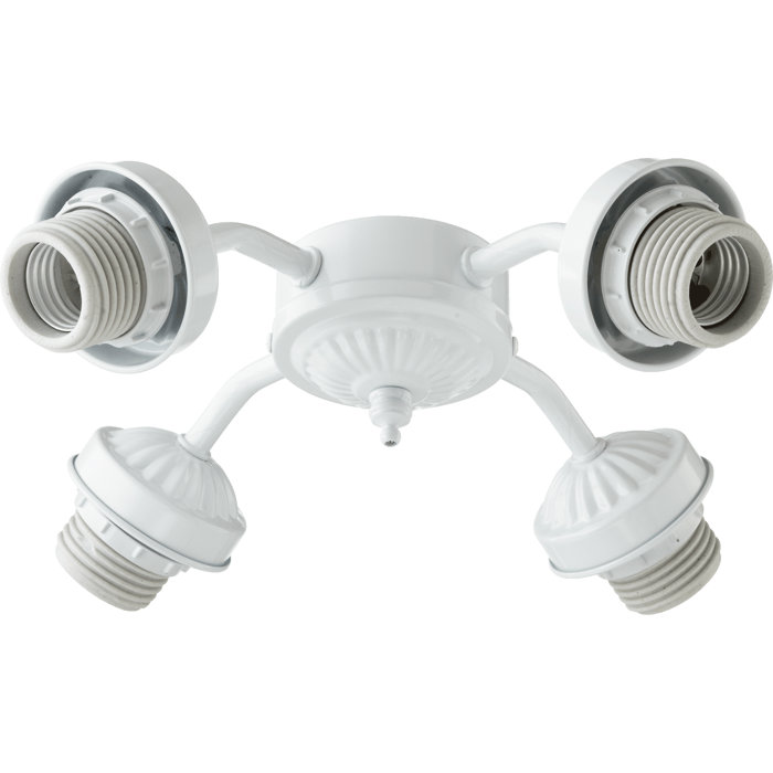 Darby Home Co 4-Light Ceiling Fan Light Fitter & Reviews | Wayfair