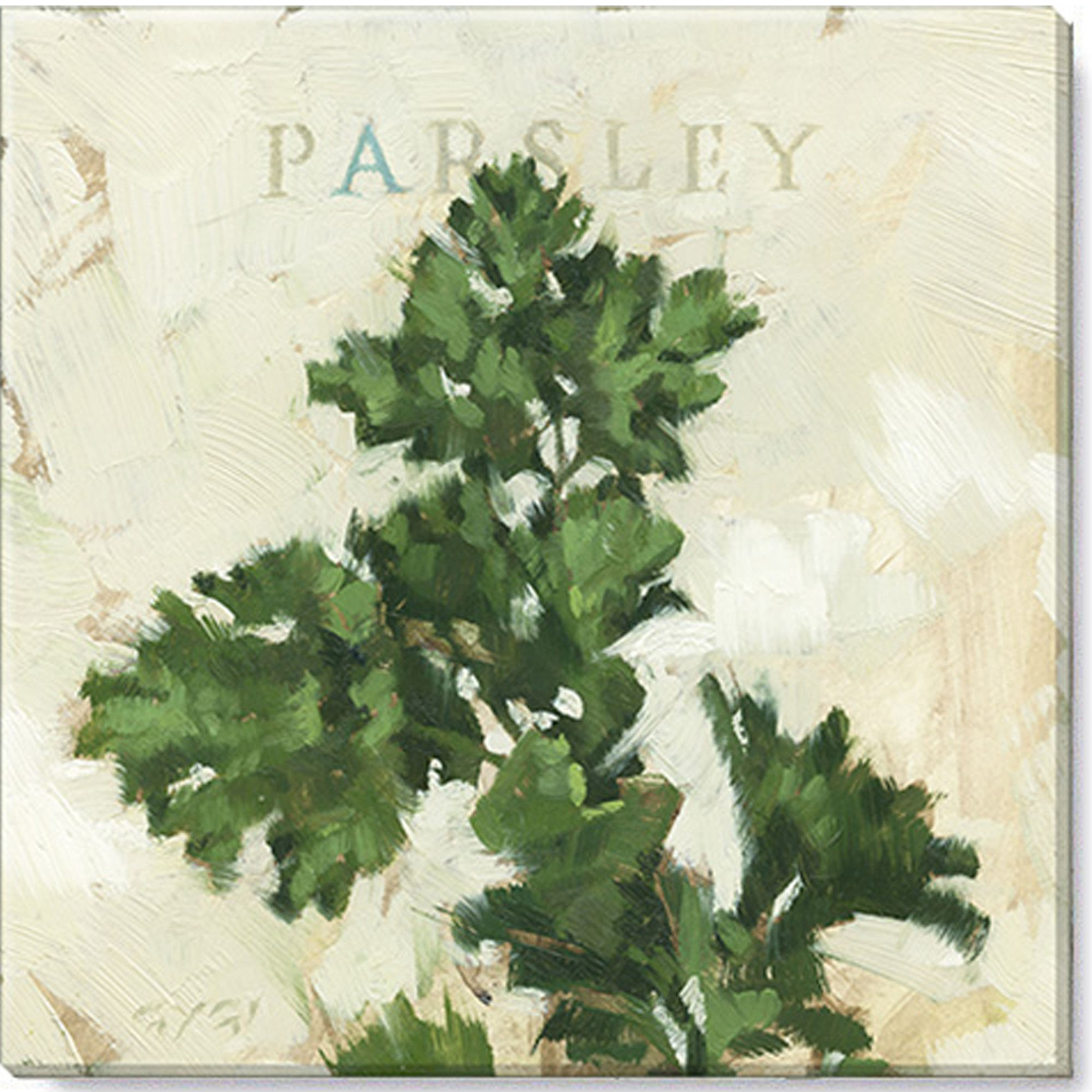 Darren Gygi Home Collection Parsley Giclee Wall Art by Darren Gygi ...