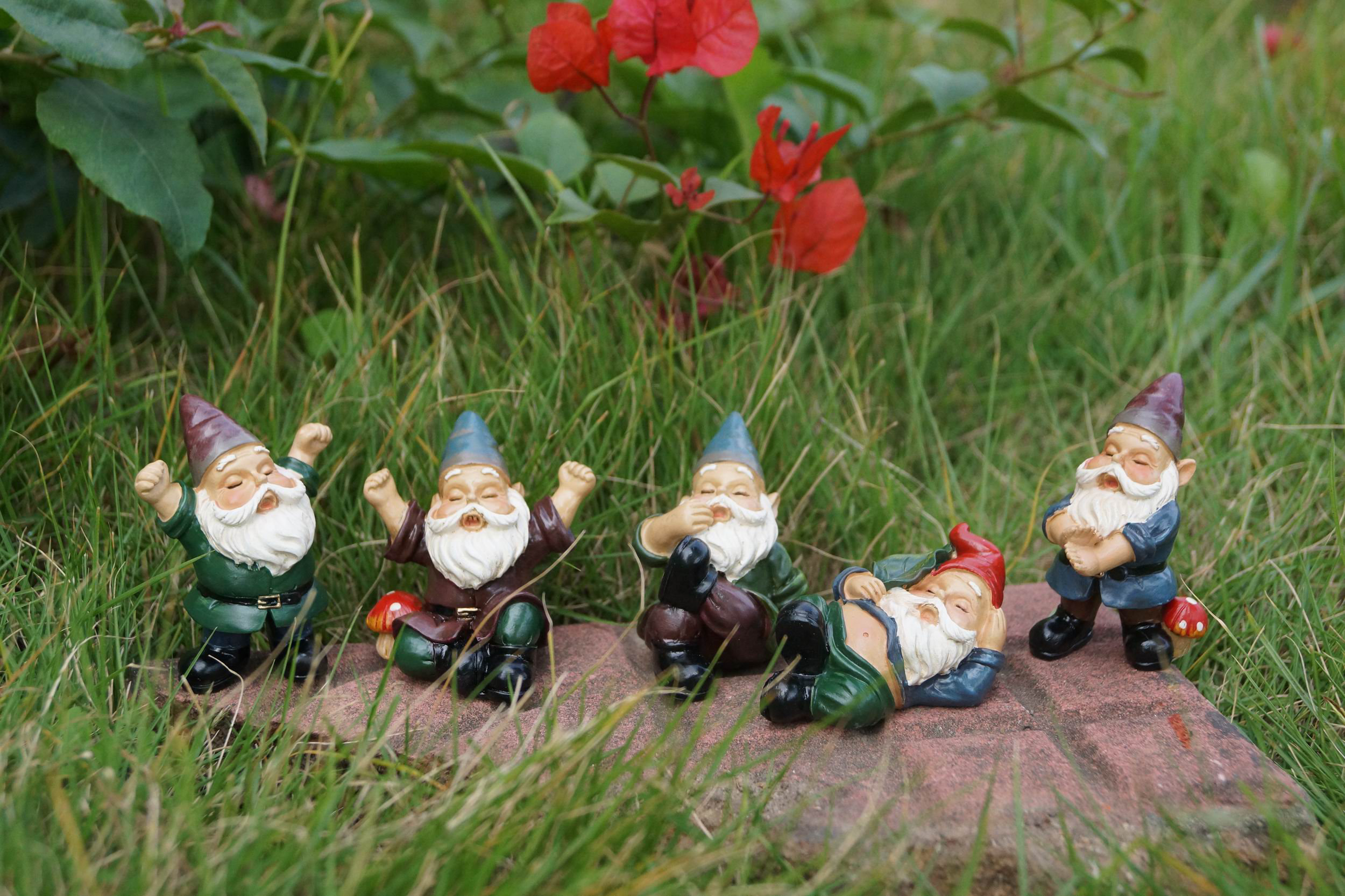 Hi-Line Gift Ltd. 4 Piece Gnomes Set & Reviews | Wayfair